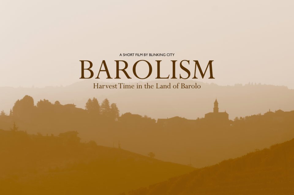 Barolism. Harvest time in the land of Barolo. - Blinking City